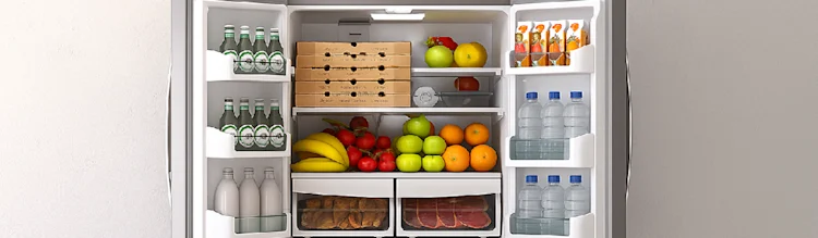 Expert Refrigerator Repair Services | Sears Home Services